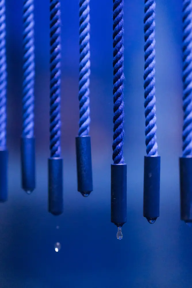 La magistrale « Retenue » de l’histoire par Kapwani Kiwanga pour le ...