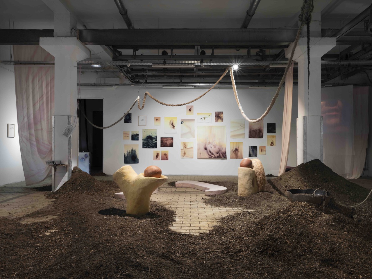 OVNi 2024 : Interview Camille Franch-Guerra, artiste et commissaire ...